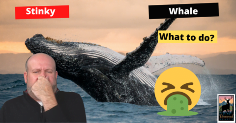 The HOA and the Stinky Whale… #106