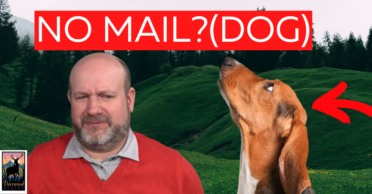 When your neighbors dog keeps you from getting mail…for a month!…136